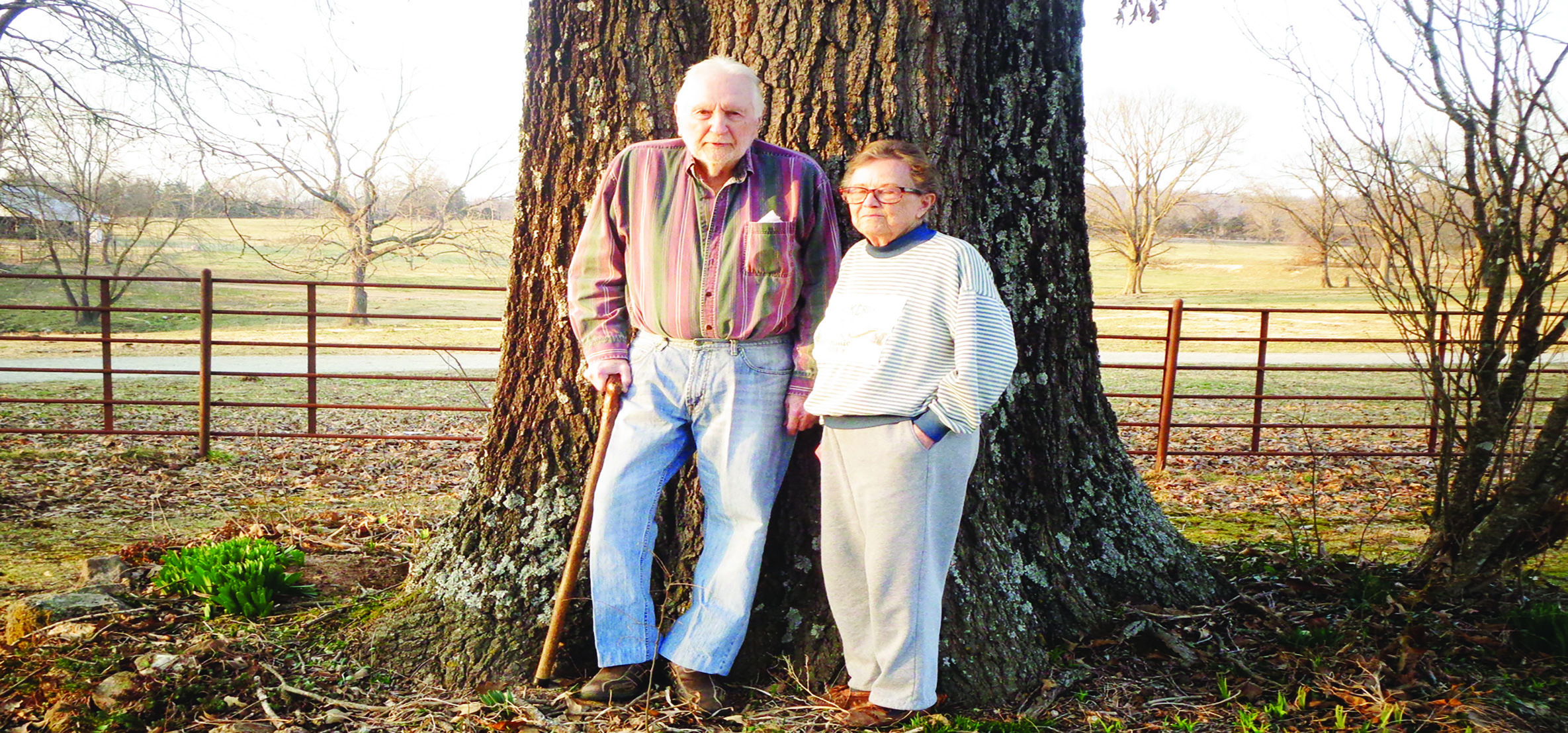 Marion County Trees - Mountain Echo